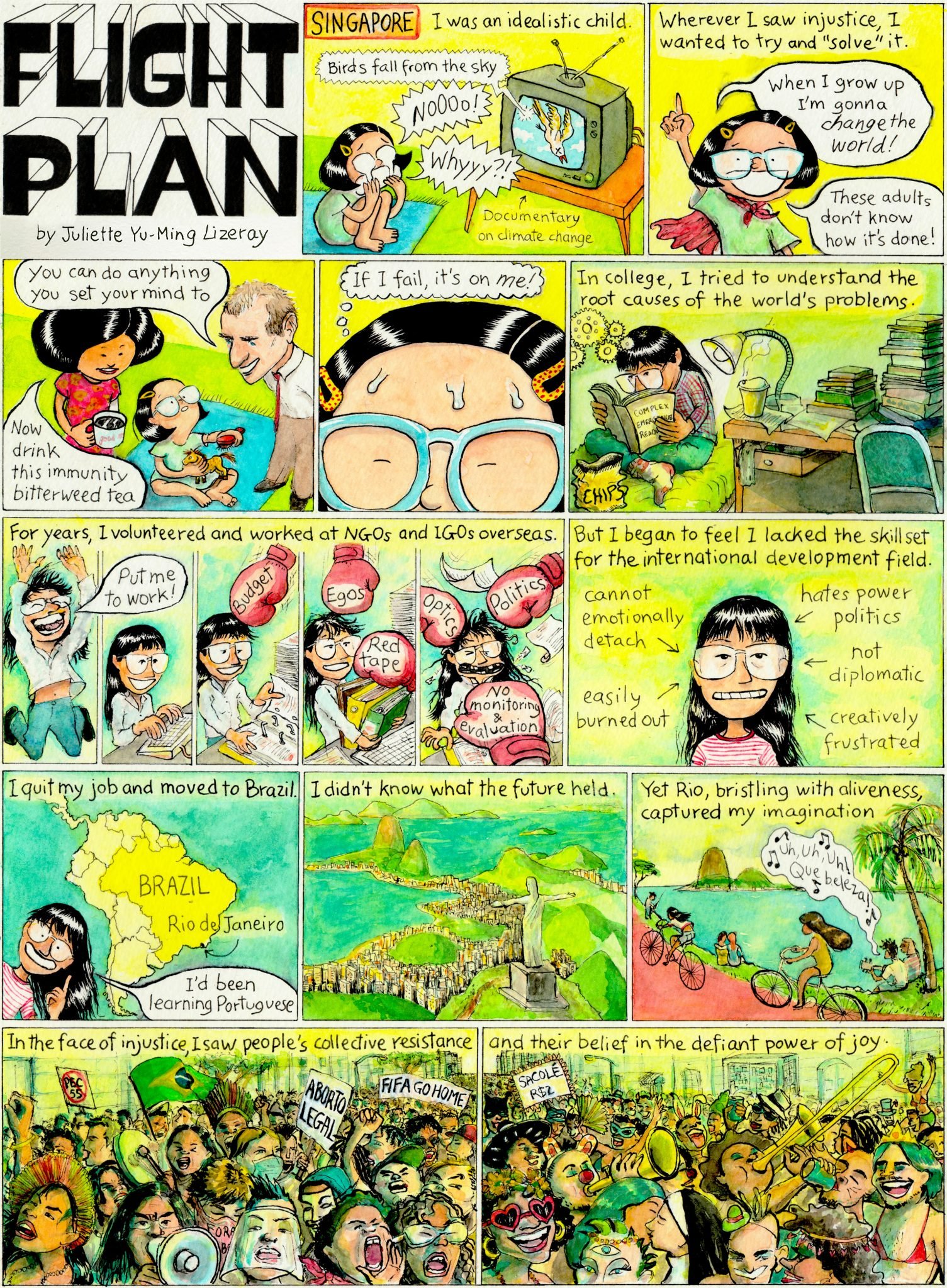 Flight Plan - Mekong Review